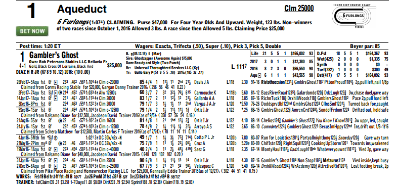 Will the Past Performances look like they do in the newspaper? – DRF Help
