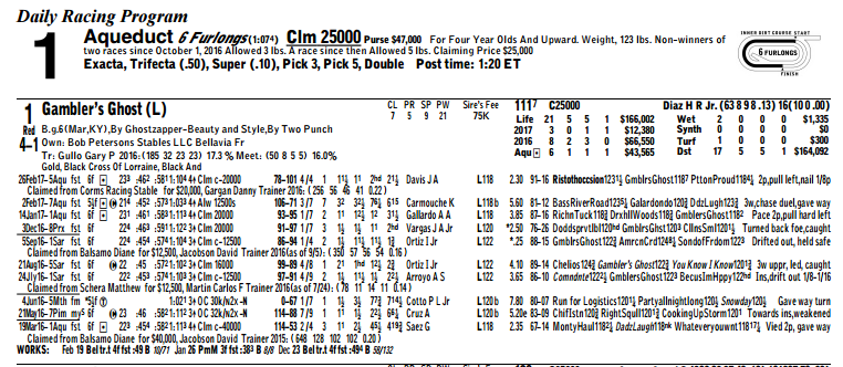 Will the Past Performances look like they do in the newspaper? – DRF Help